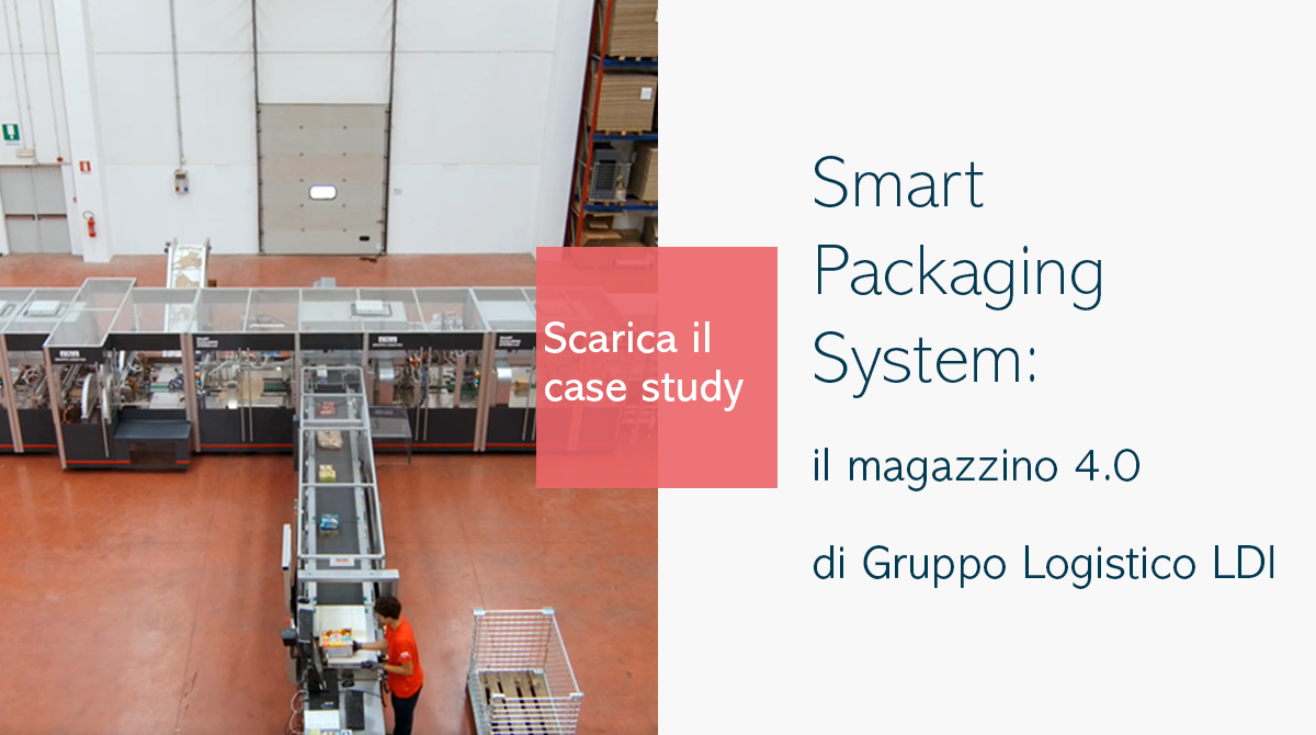 Beta80 - Case Study LDI - Supply Chain Management